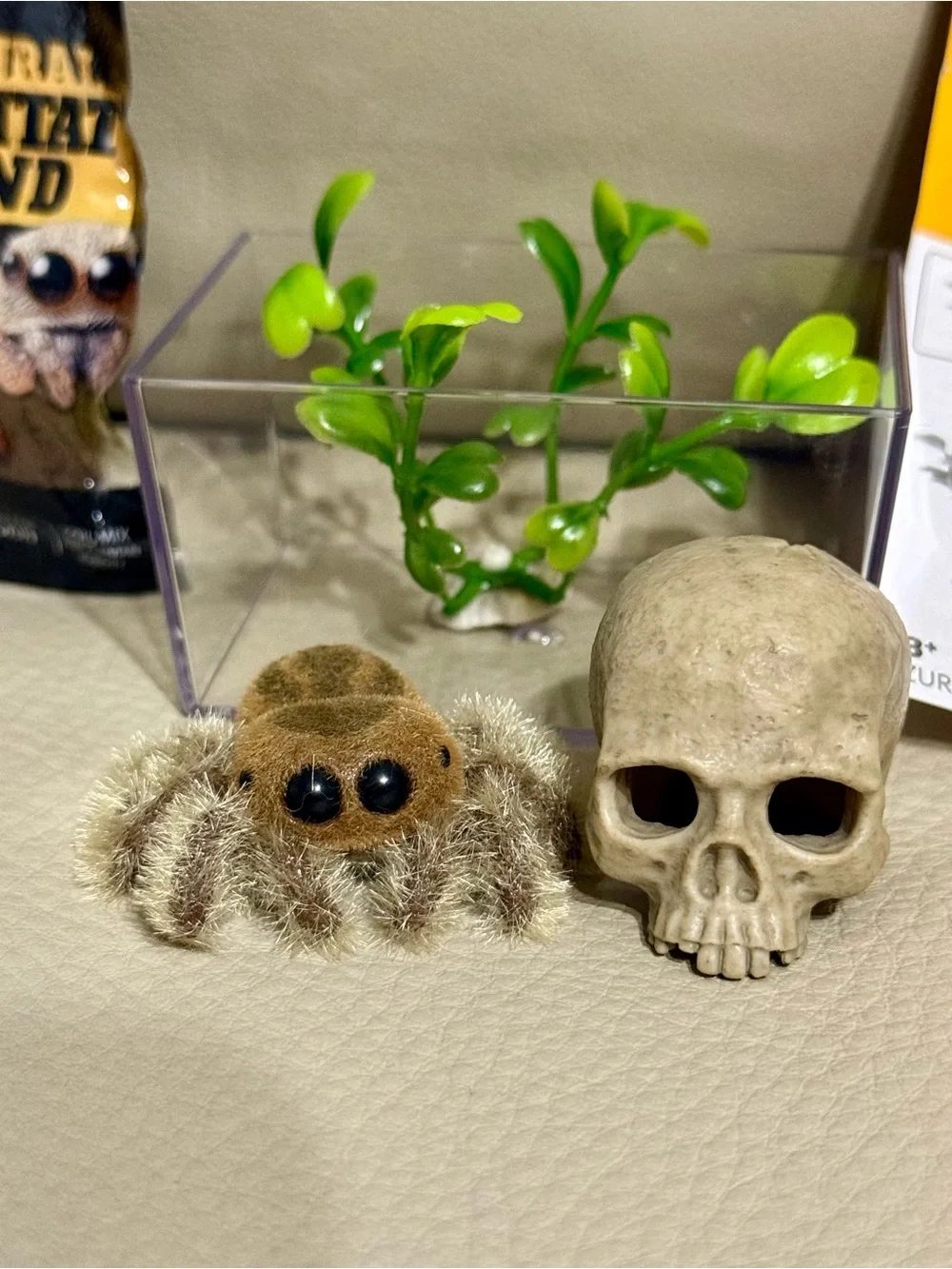 Zuru | Toys | New Zuru My Mini Pets Animals Jumping Spider | Poshmark